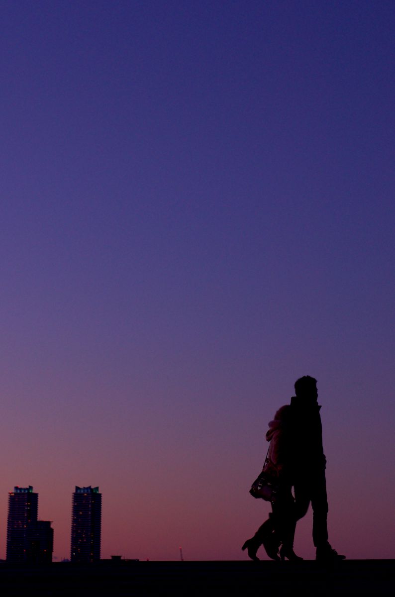 Love gradation | GANREF