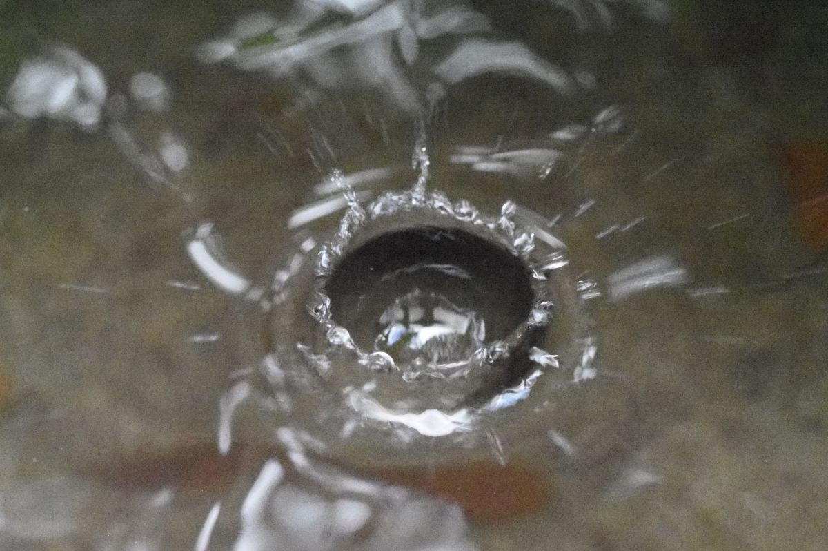 Water Crown | GANREF