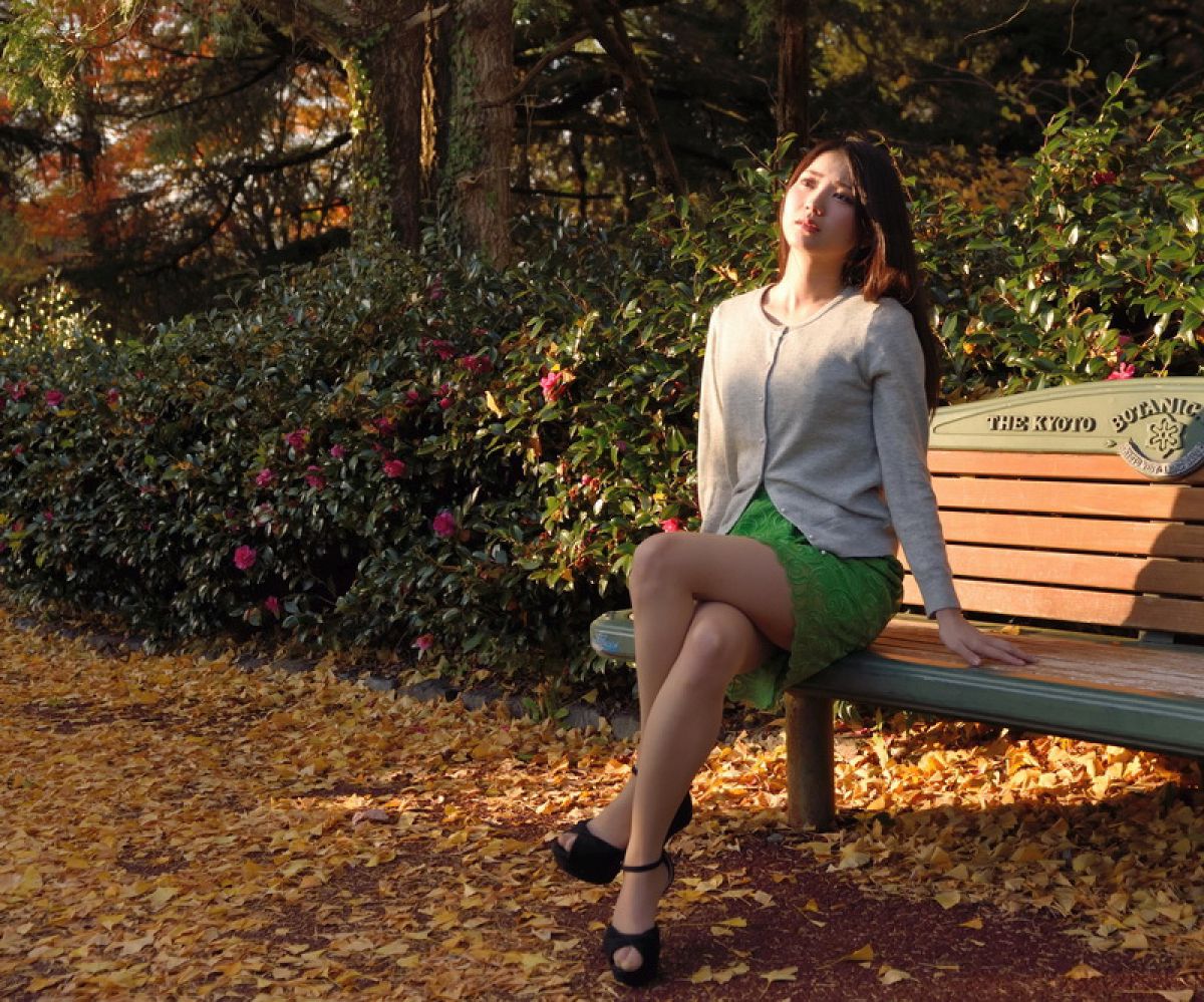 木漏れ日 | GANREF