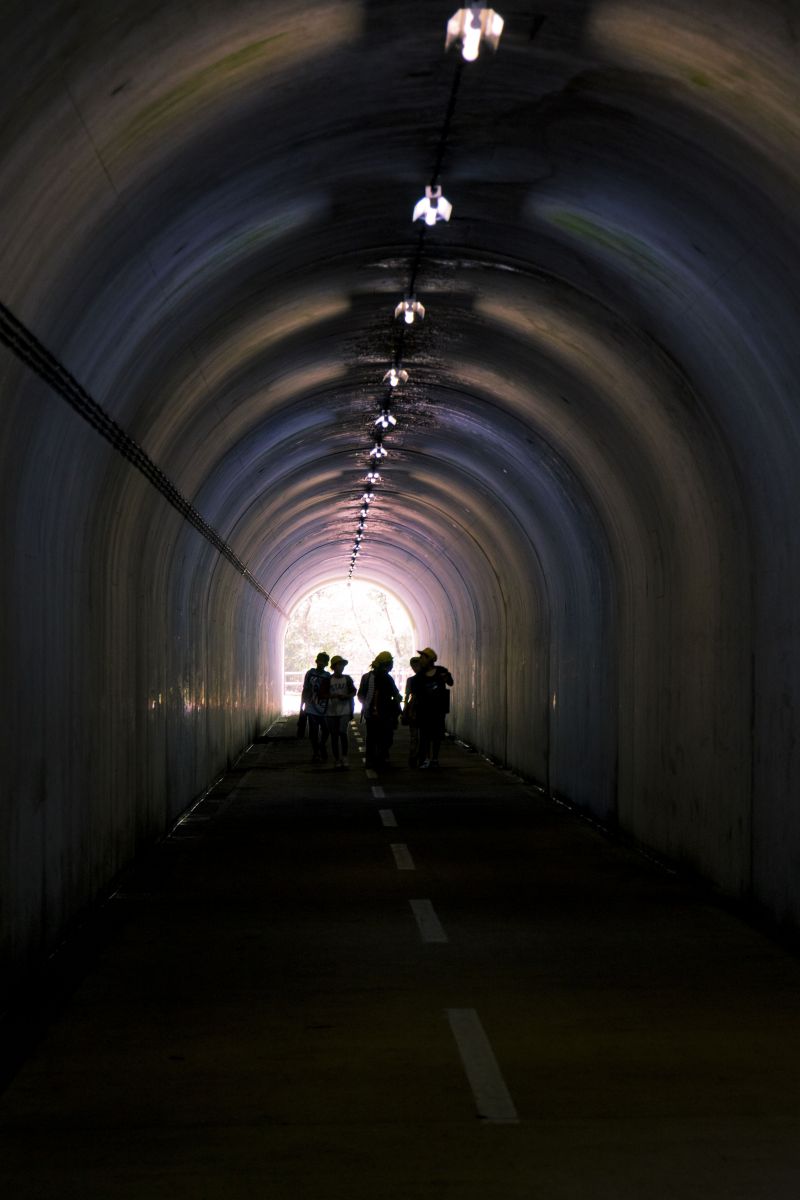 未知の世界へ | GANREF