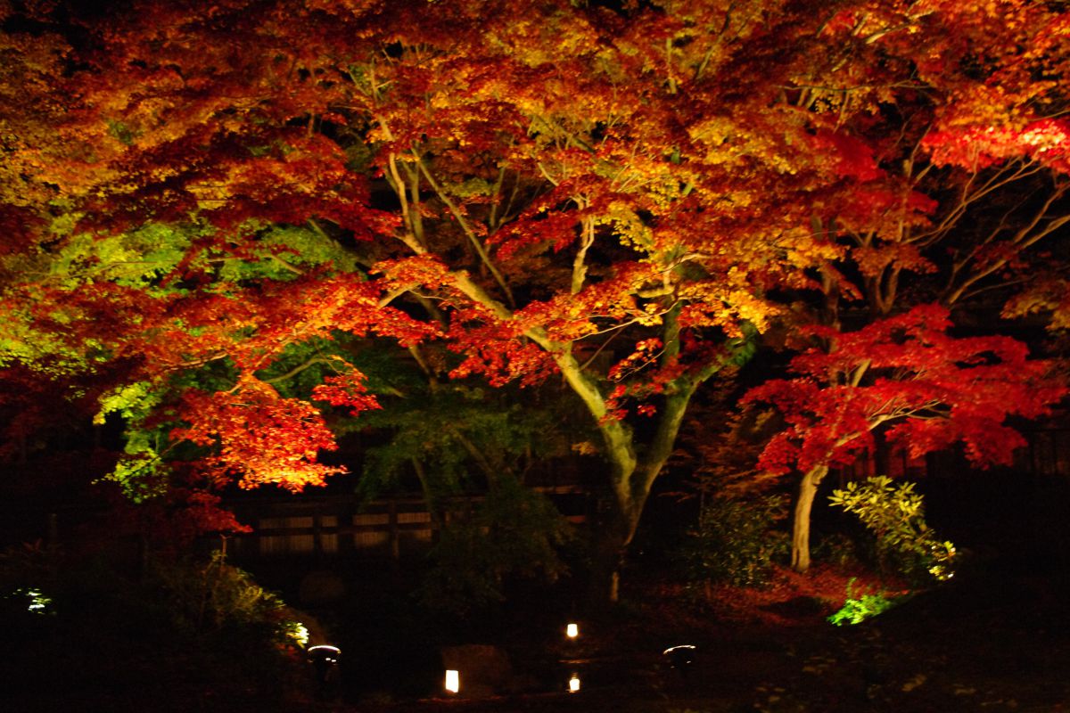 宝厳院 03 | GANREF