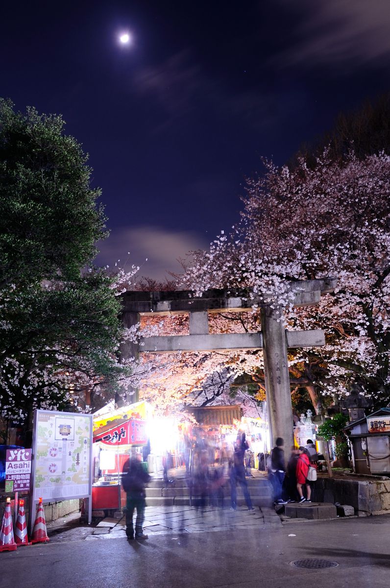 たけなわ | GANREF