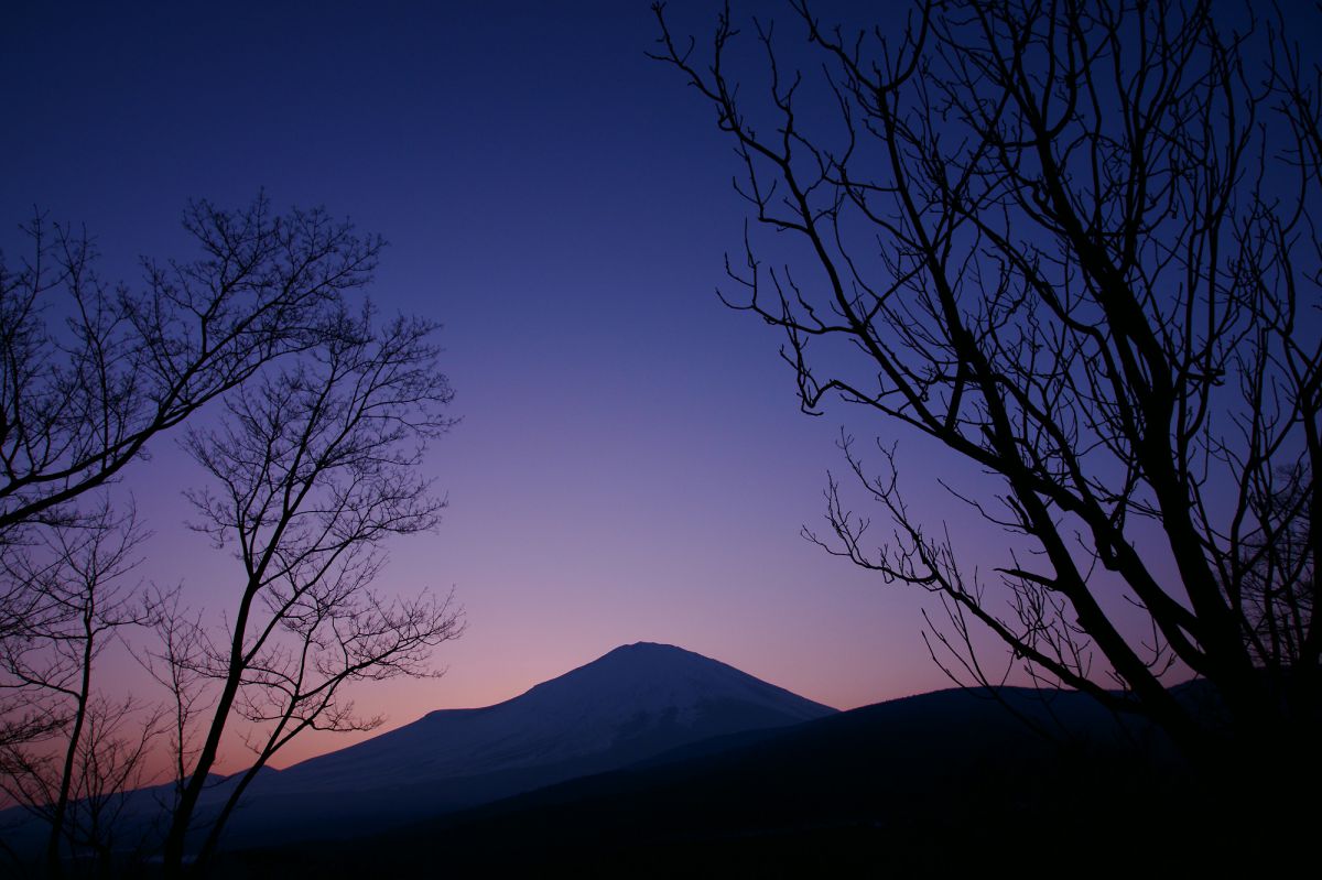 223の日に | GANREF