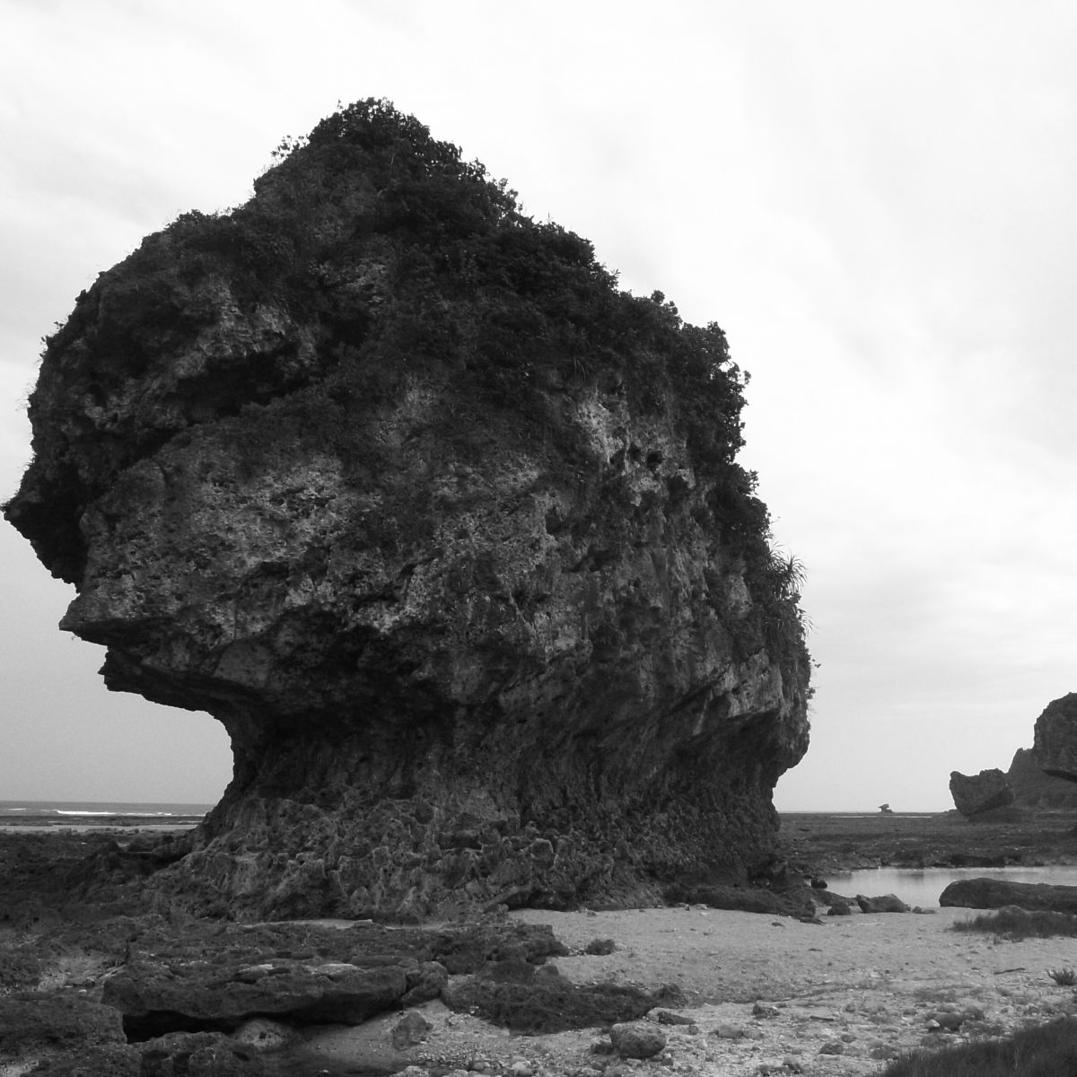 Big Elephant | GANREF