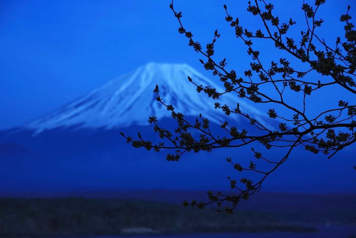 Blue Mt. Fuji | GANREF