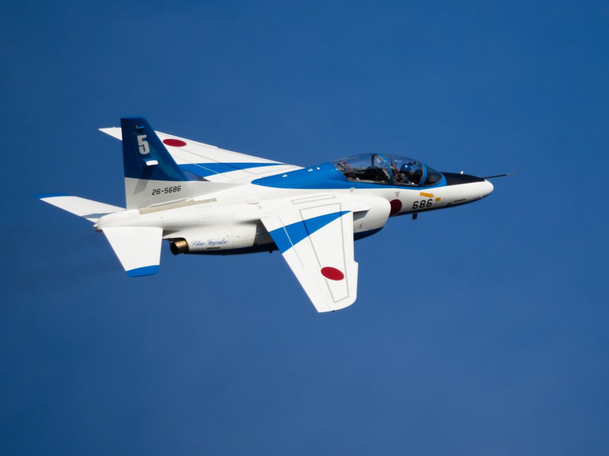 low angle cuban | GANREF