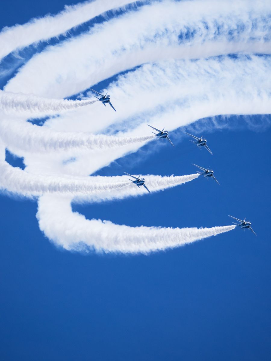 Phoenix roll no.1 | GANREF