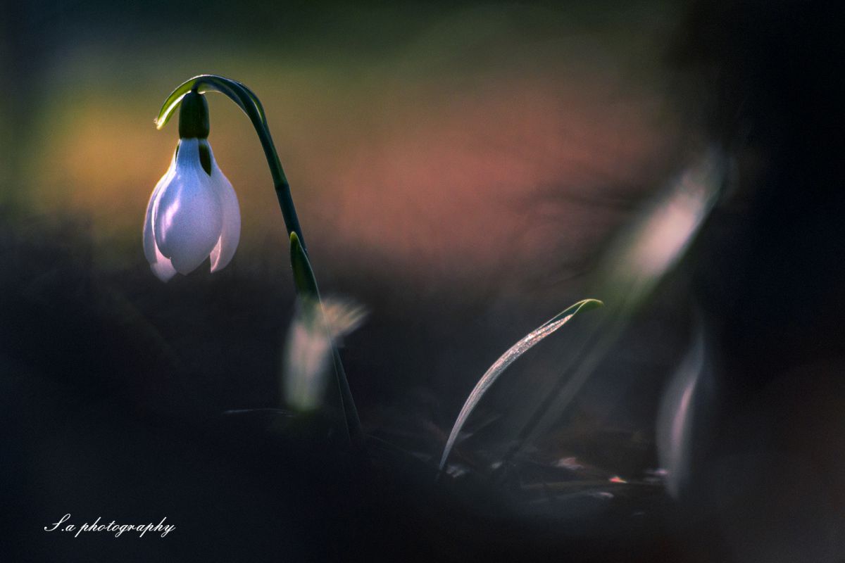 やさしさに包まれて | GANREF