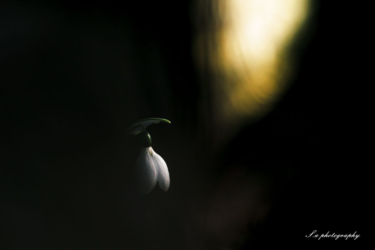 Faint light | GANREF