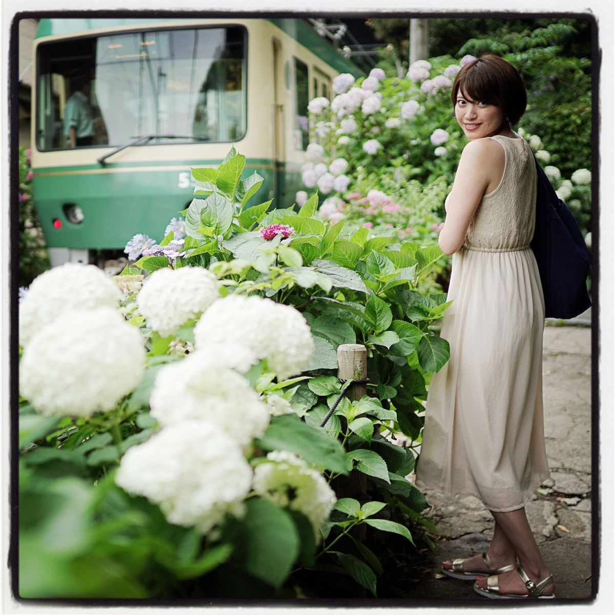 紫陽花 x ポートレート x 鎌倉 #013 | GANREF