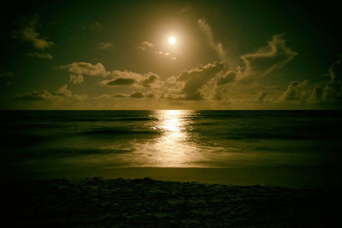 Midnight Ocean | GANREF