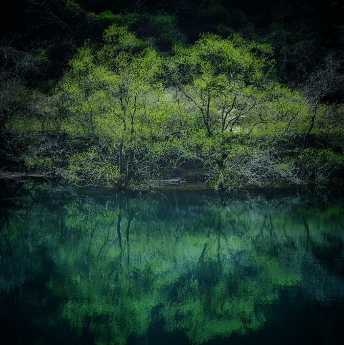 Emerald twins | GANREF