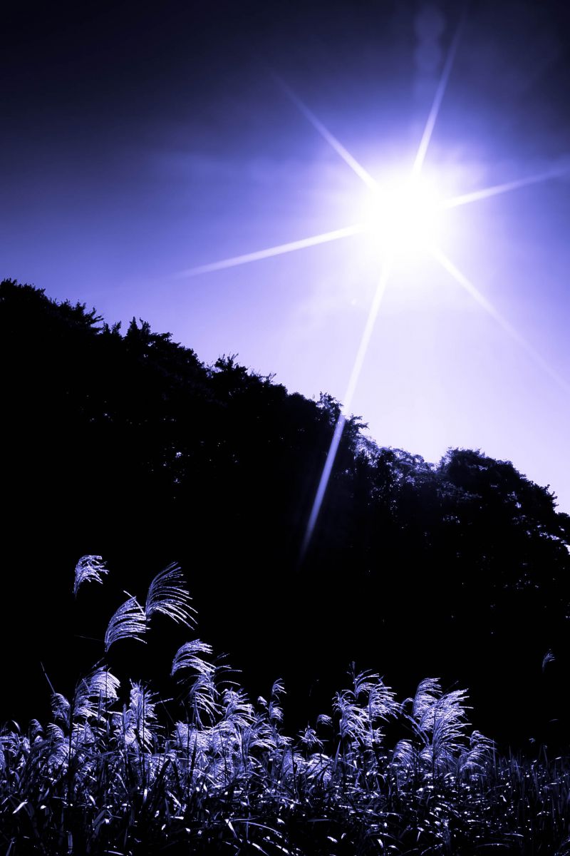 Cross of silver | GANREF