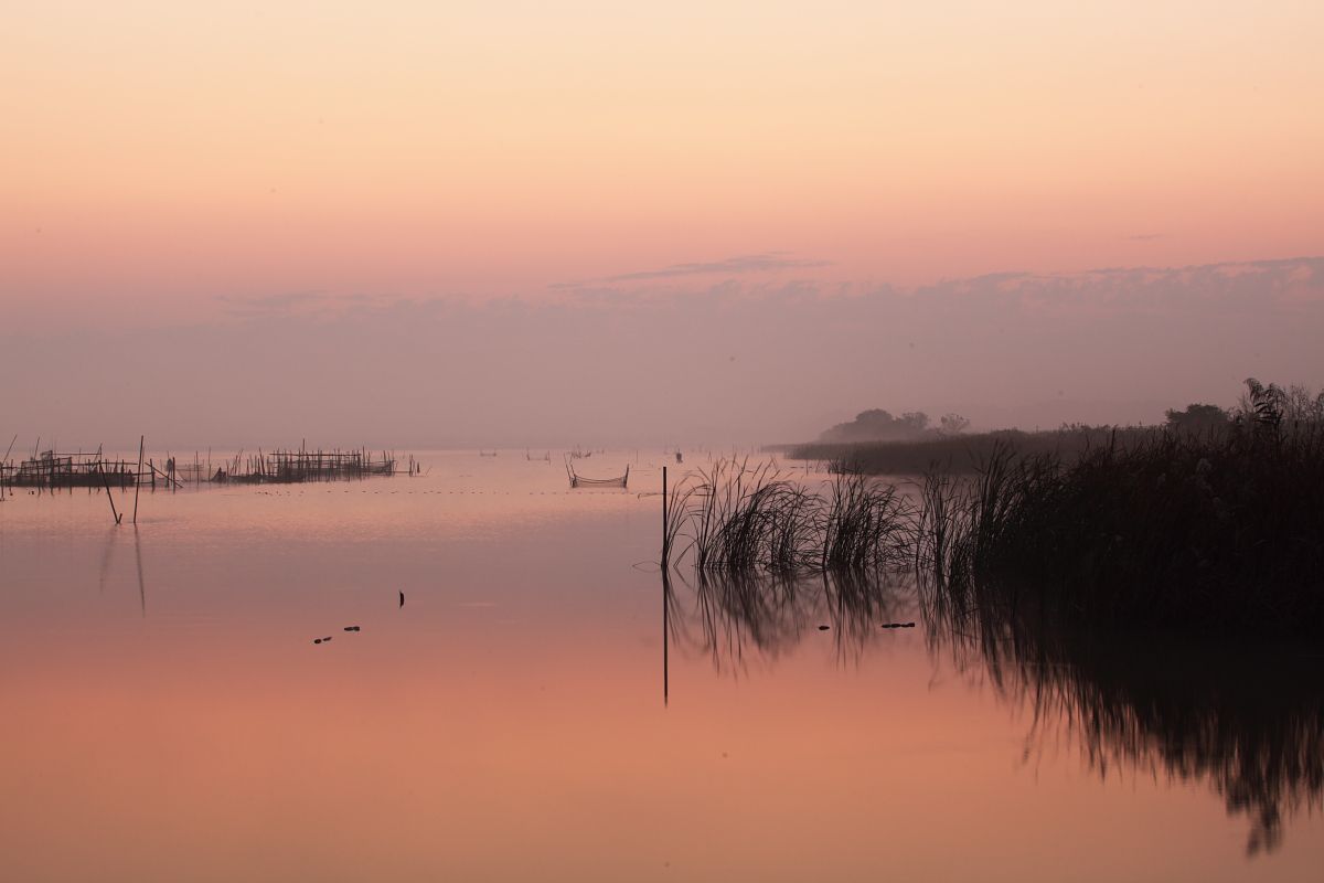 Pink Morning | GANREF