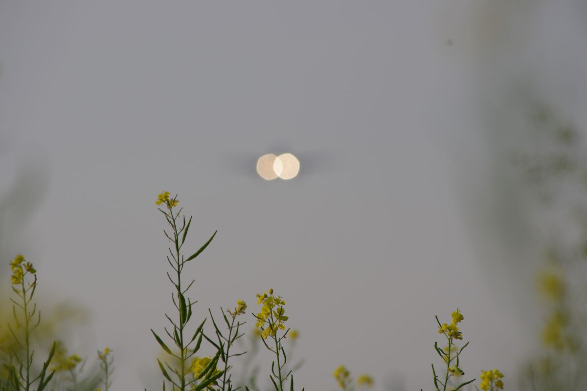 タイトル募集 | GANREF