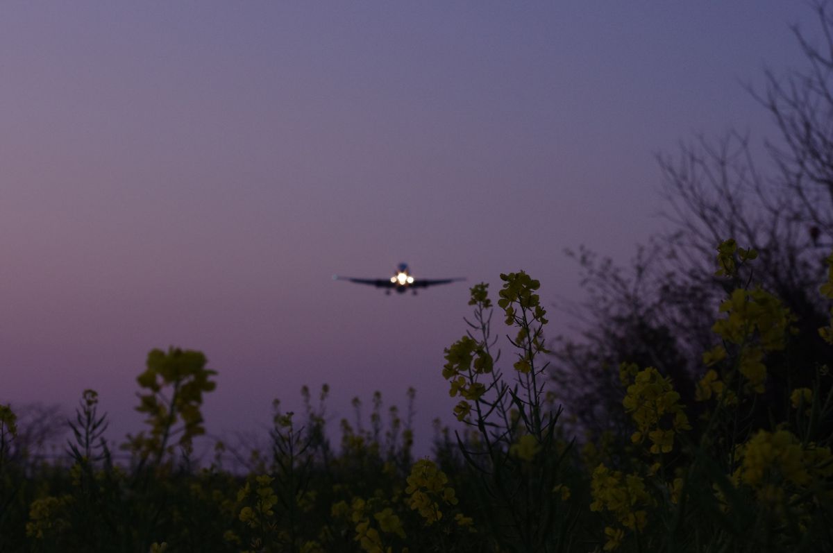 Final Approach 夕闇前 | GANREF