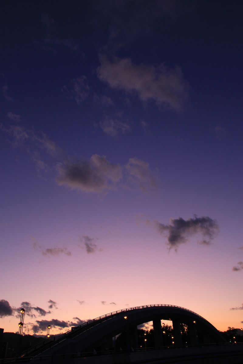 DAWN PURPLE | GANREF