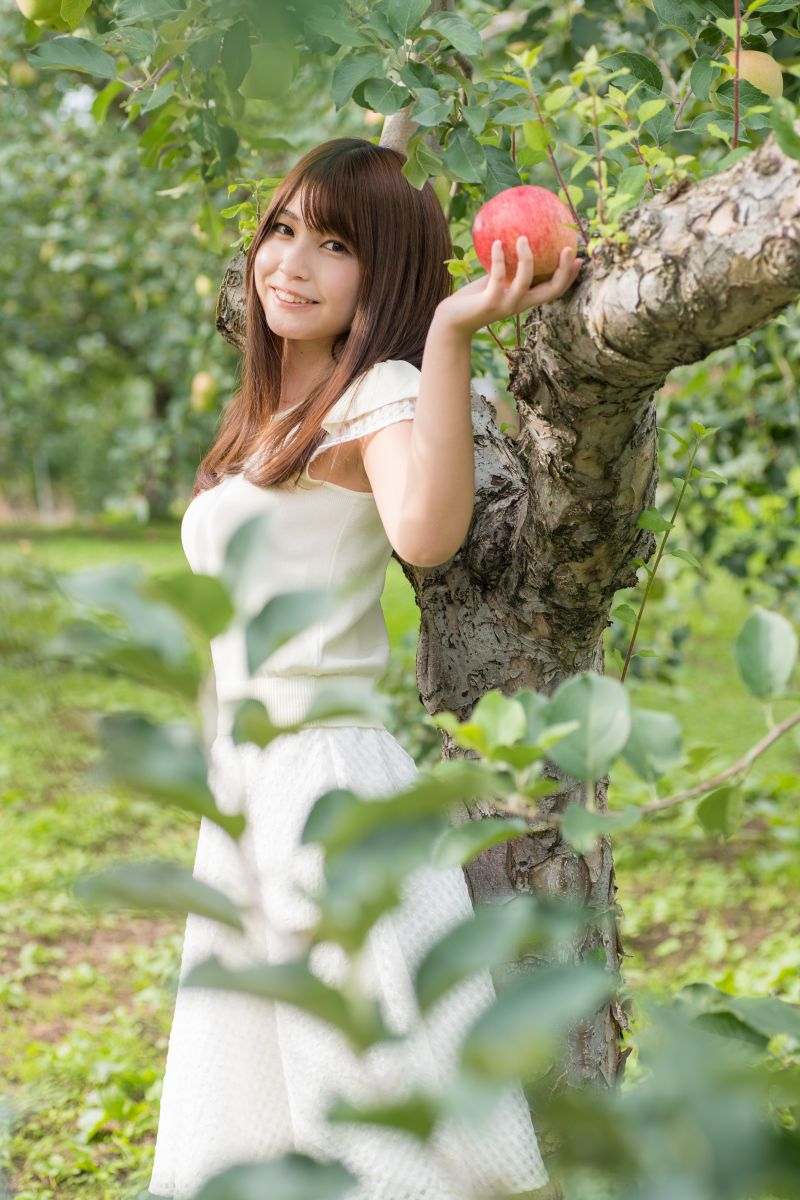 apple trees | GANREF