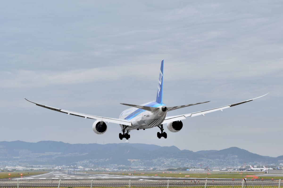 縞縞パンツのB787 | GANREF