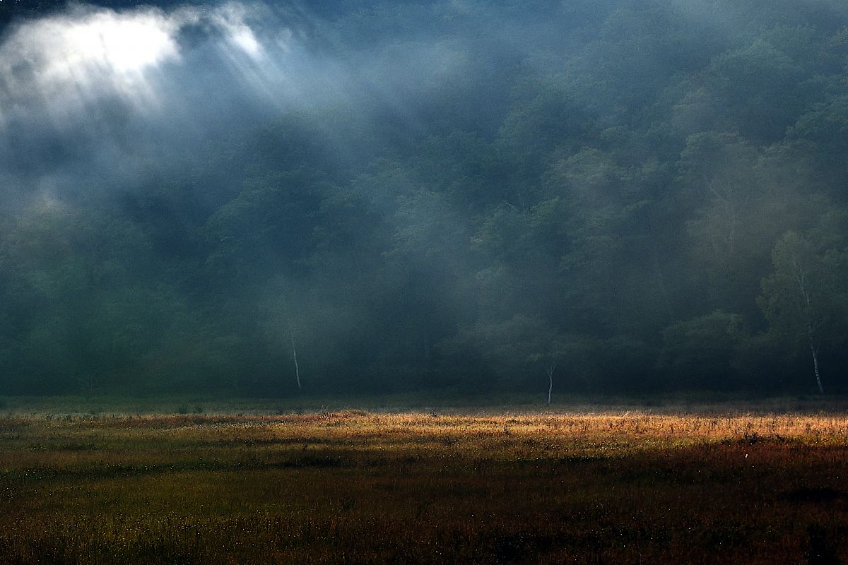 light darkness | GANREF