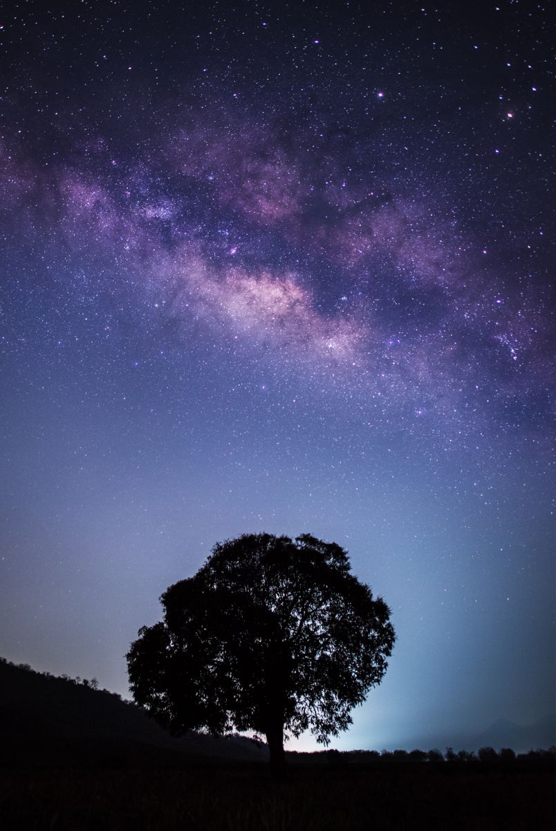 You're not alone | GANREF