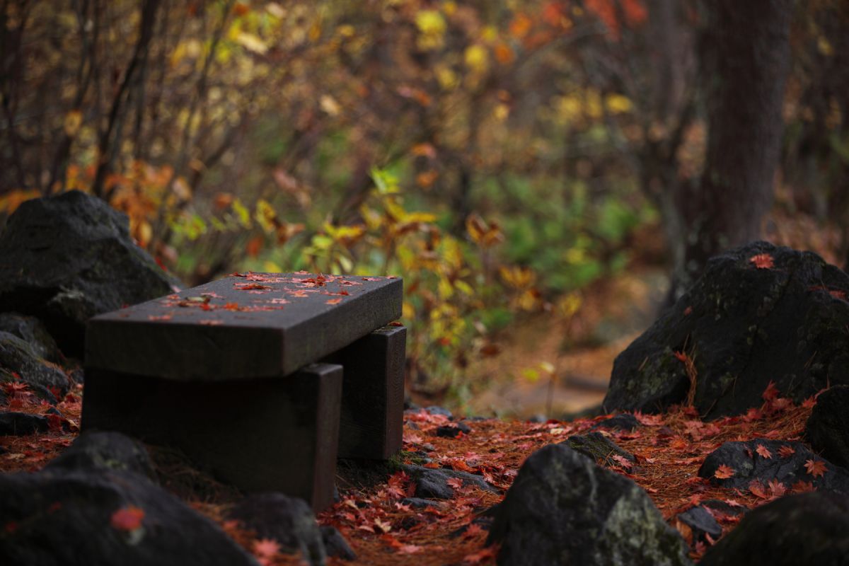 秋の深まり | GANREF