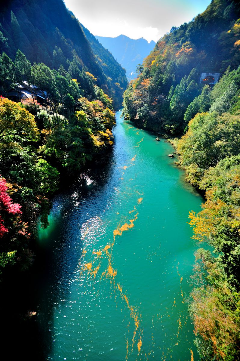 奥多摩の紅葉27 | GANREF