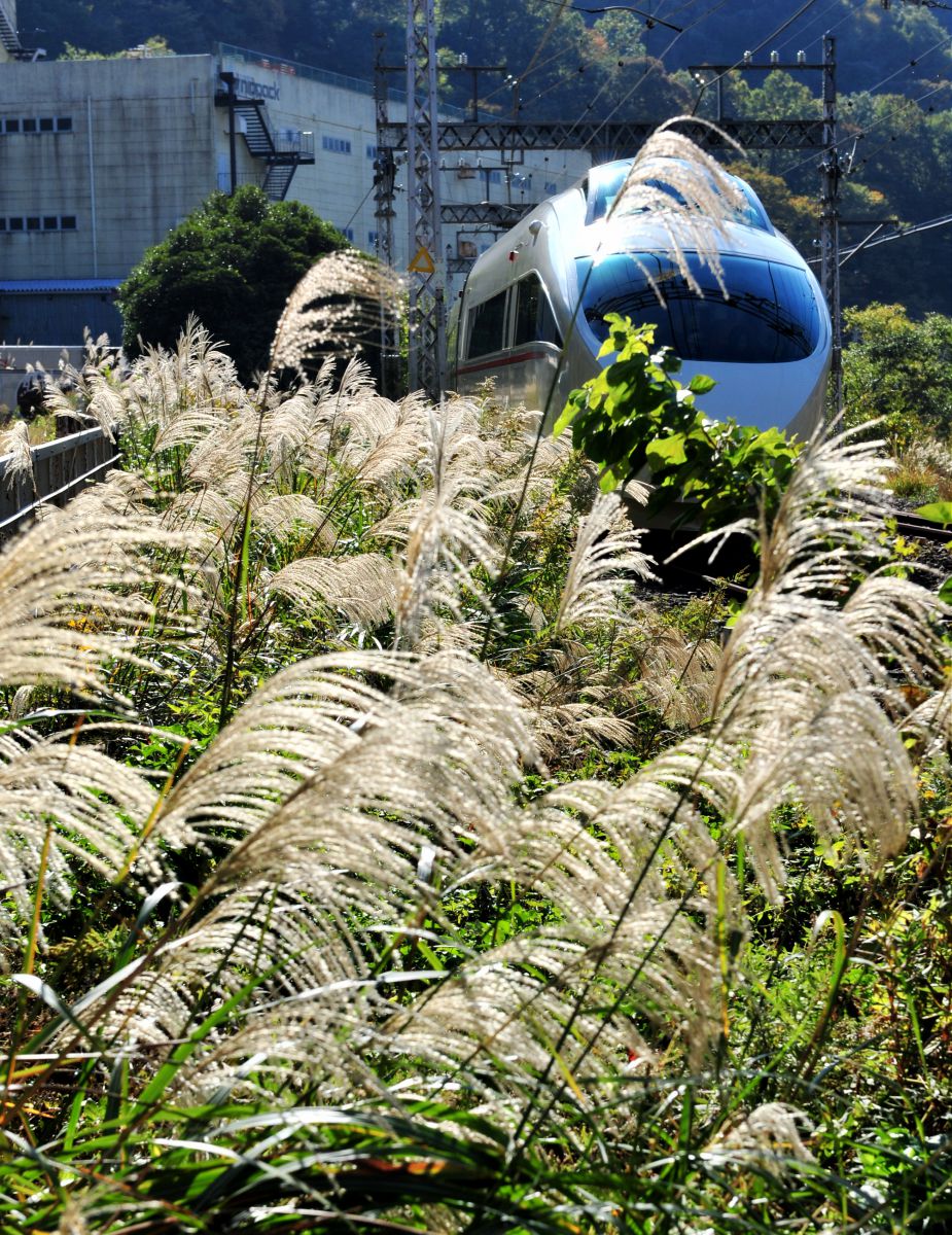 VSEキラリ | GANREF