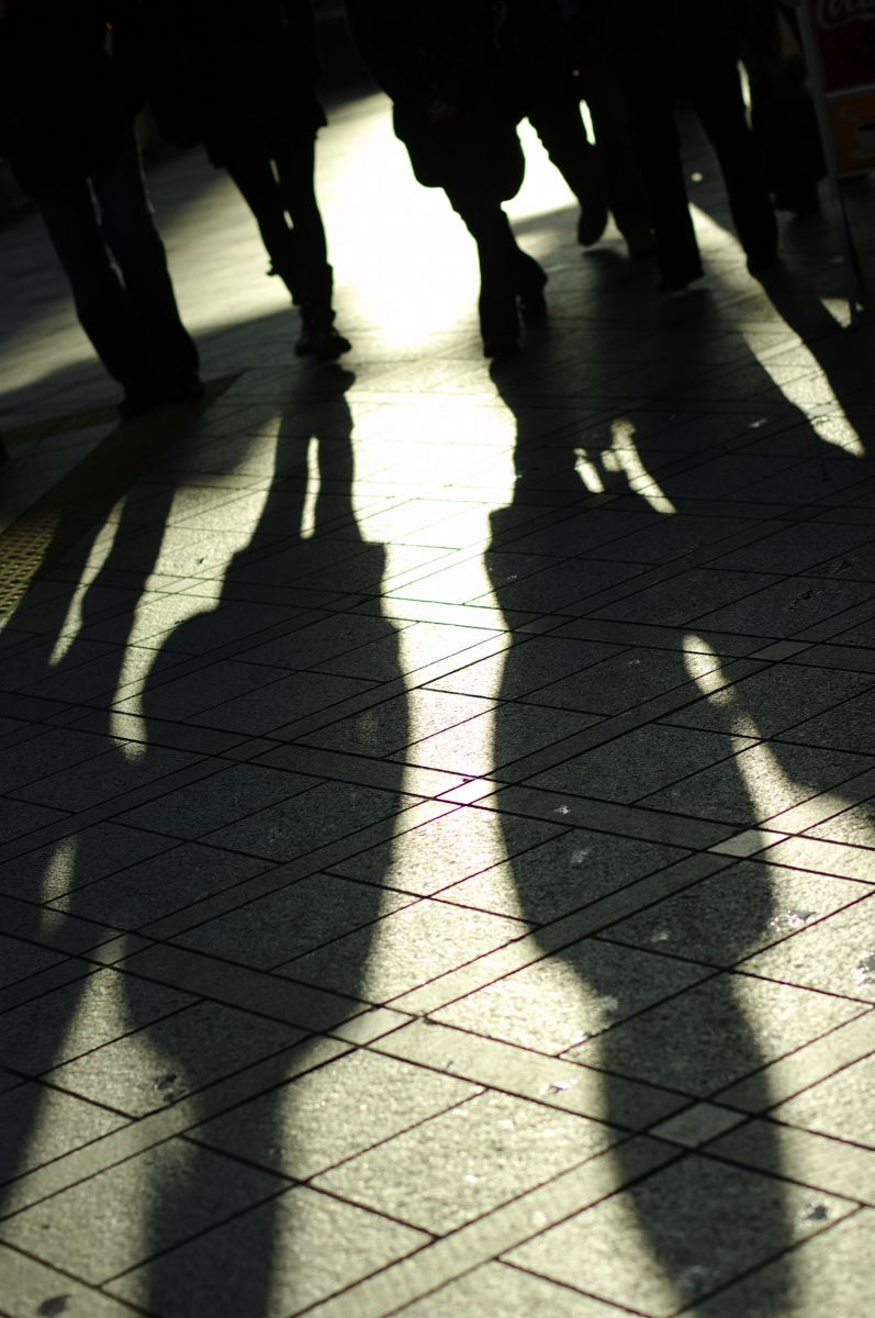 Crowded in shadow | GANREF