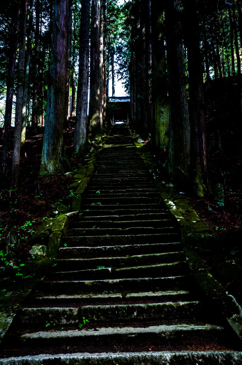 Green stairs | GANREF