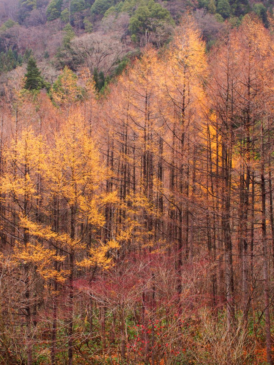 Seasons of change | GANREF