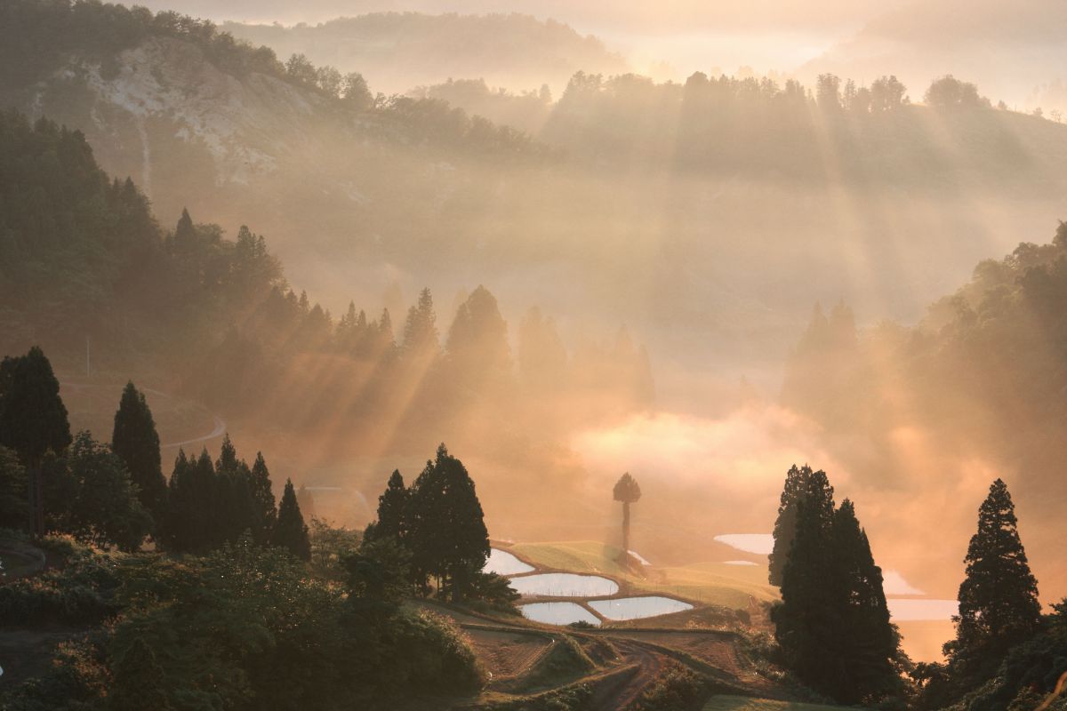 マッチ棒 | GANREF