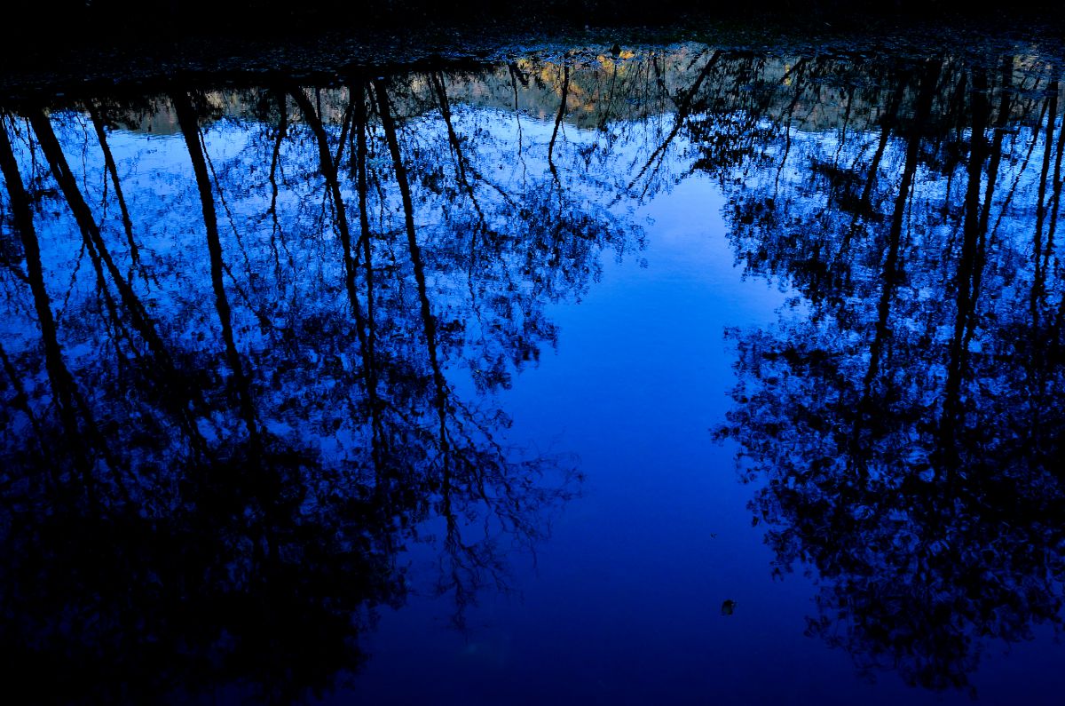 BLUE SHADOW | GANREF