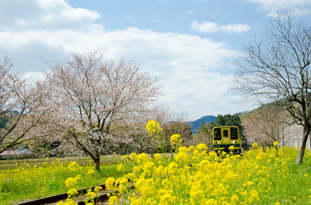 Spring Train has Come! | GANREF