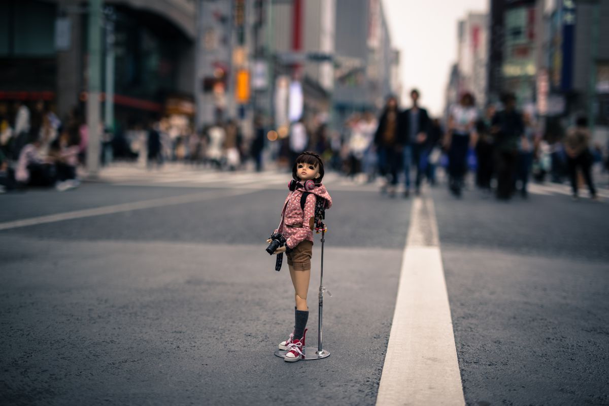 小さなカメラマン | GANREF