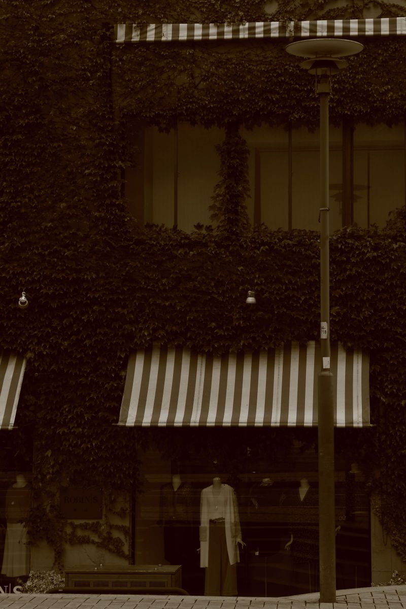 At the street corner | GANREF