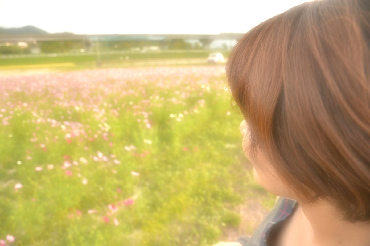 秋桜vs嫁 | GANREF