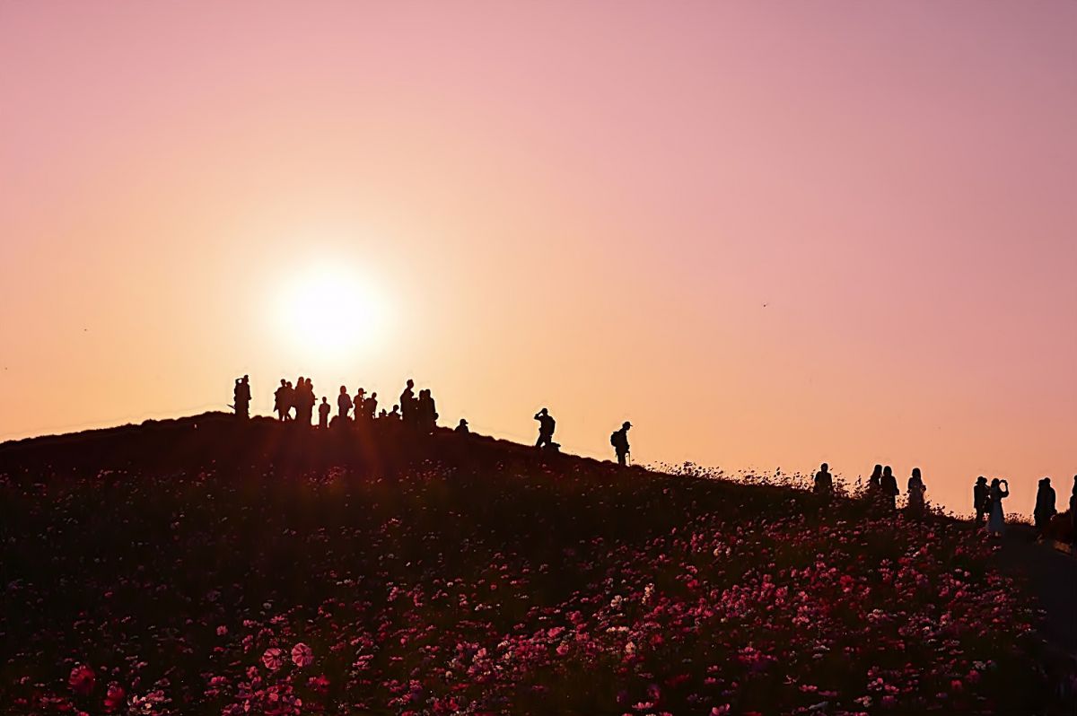 「harmony（調和）」 | GANREF