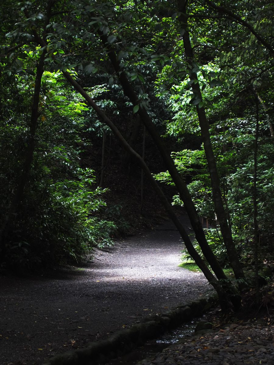 ray of hope | GANREF