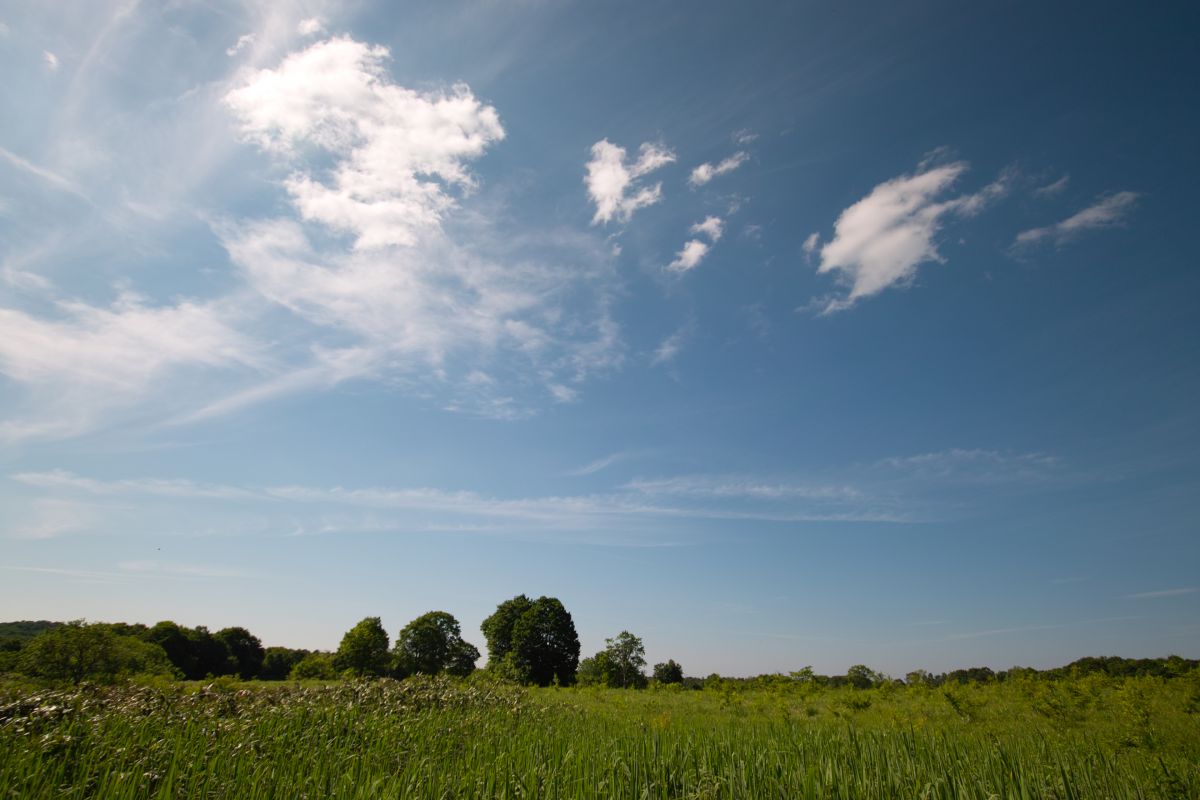 Summer Wind | GANREF