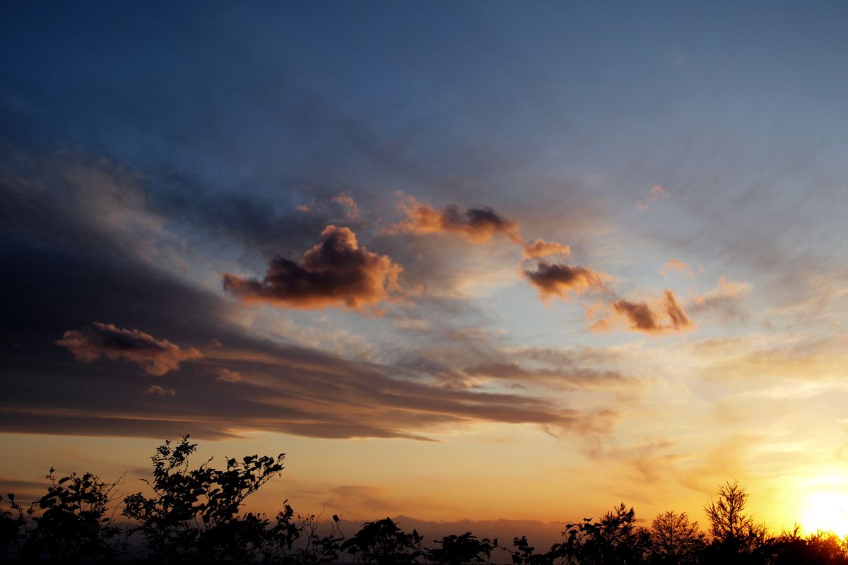 あかね色に染まる | GANREF