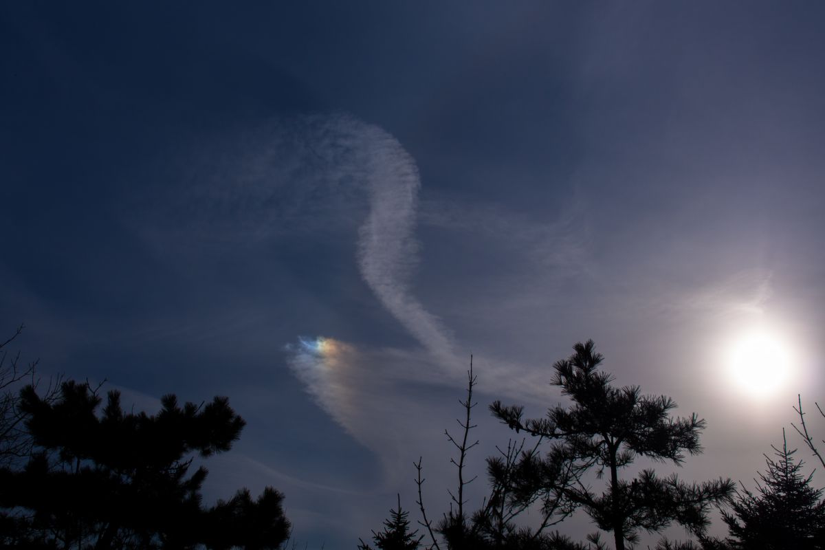 Sun phantom | GANREF