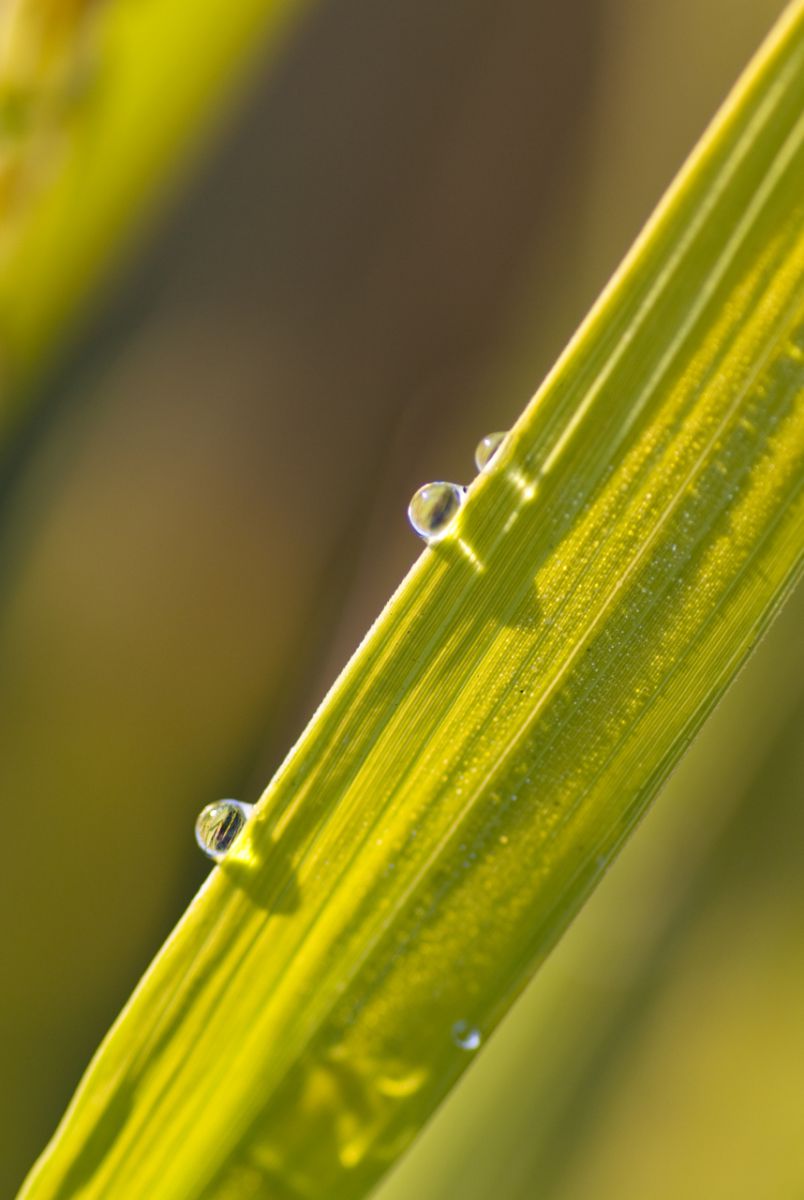 on the edge | GANREF