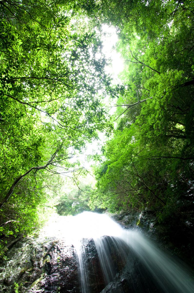 green waterfall | GANREF