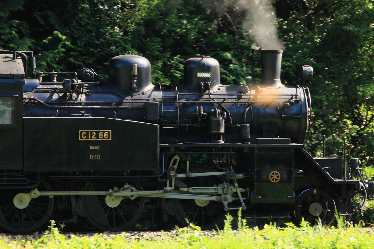 真岡のSL | GANREF