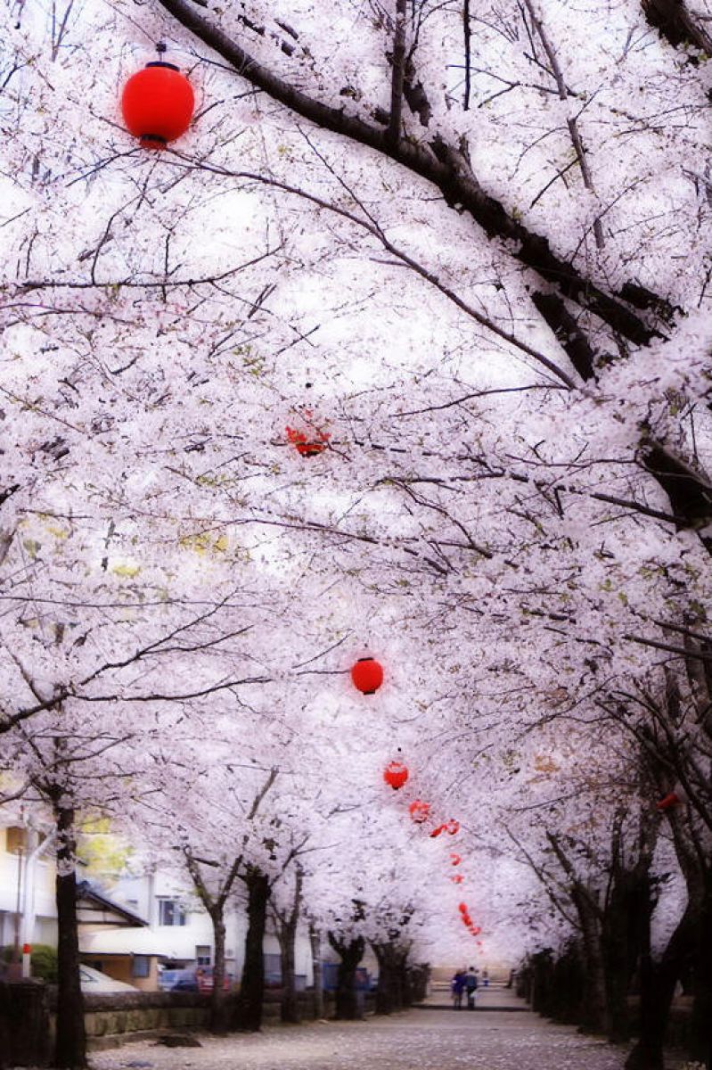 human ＊One day＊ | GANREF