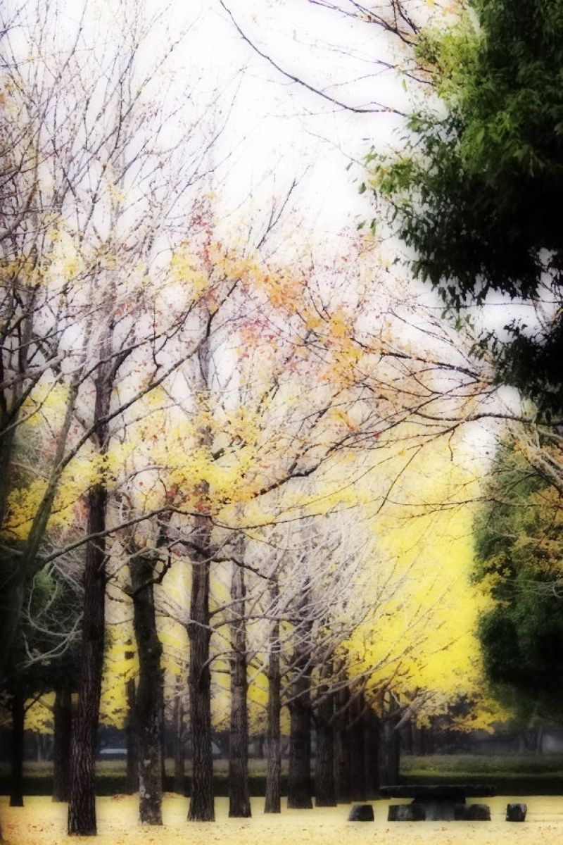 winter ・・ | GANREF