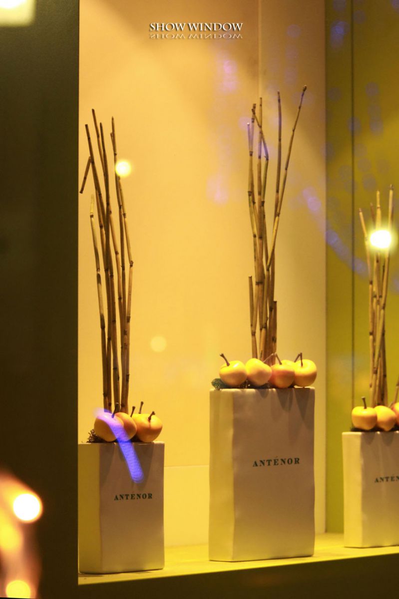 Show window | GANREF