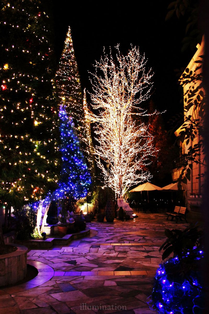 illumination | GANREF