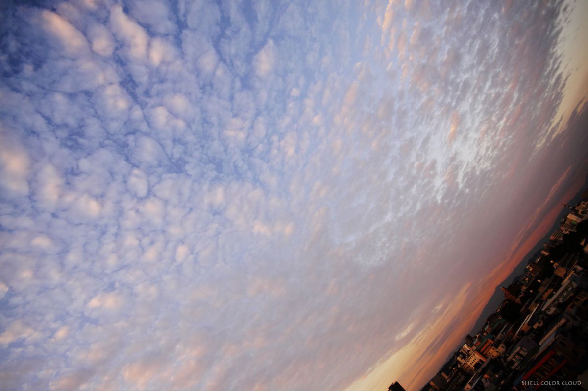 Shell color | GANREF